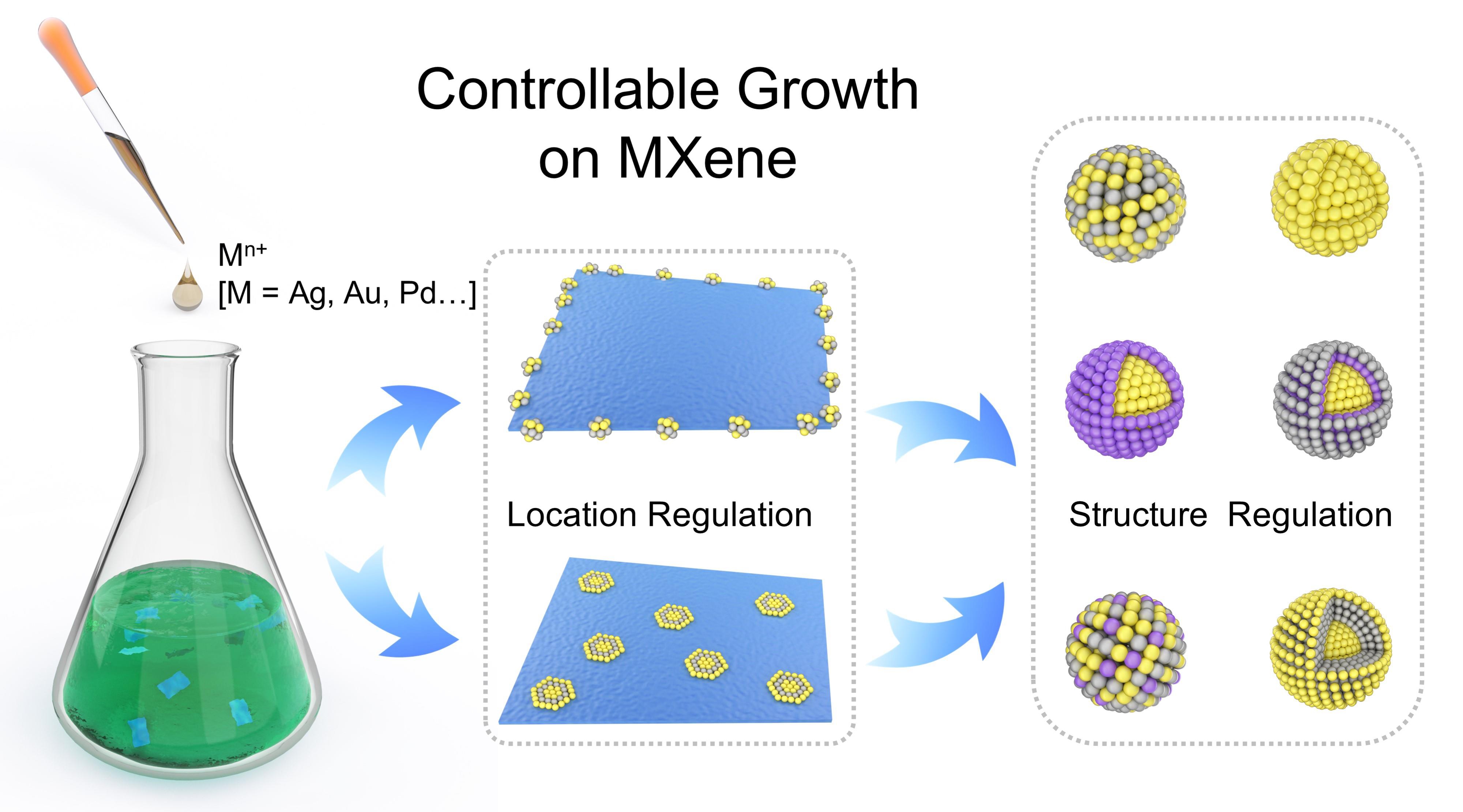 化材学院李辉团队揭示Metal/MXene复合材料可控合成机制